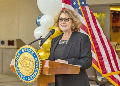 Assemblywoman Reyes plans to run for state Senate | Government ...