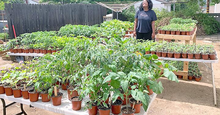 New small plant business in Redlands wants you to learn sustainable ...