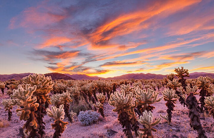 National award-winning landscape photograph | Arts & Entertainment ...