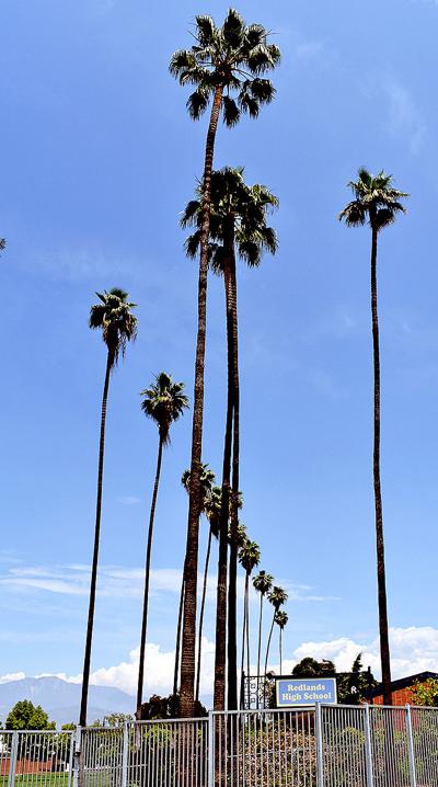 A studious look at Redlands’ mysterious streets | History ...