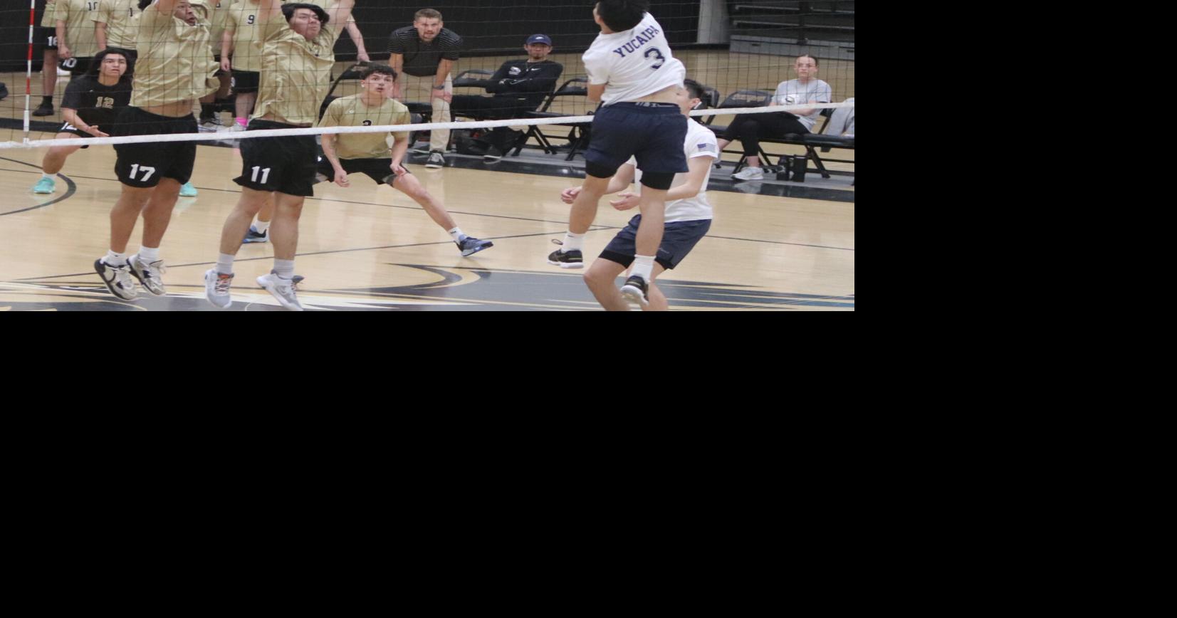 Family flock of Thunderbirds help sweep Blackhawks in volleyball ...