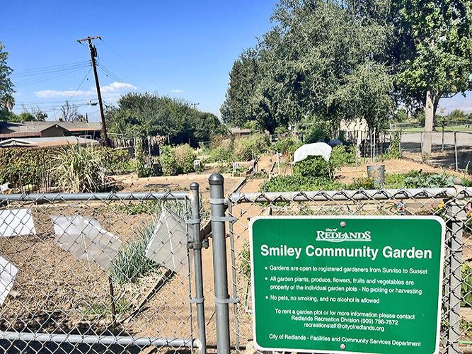 More effort is needed to adapt to Redlands’ changing climate | News ...