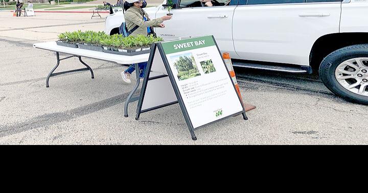 Redlands’ urban forest and a home for endangered species | Editorials ...