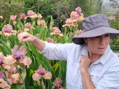 Crafton Hills Iris Farm offers group tours and techniques | News ...