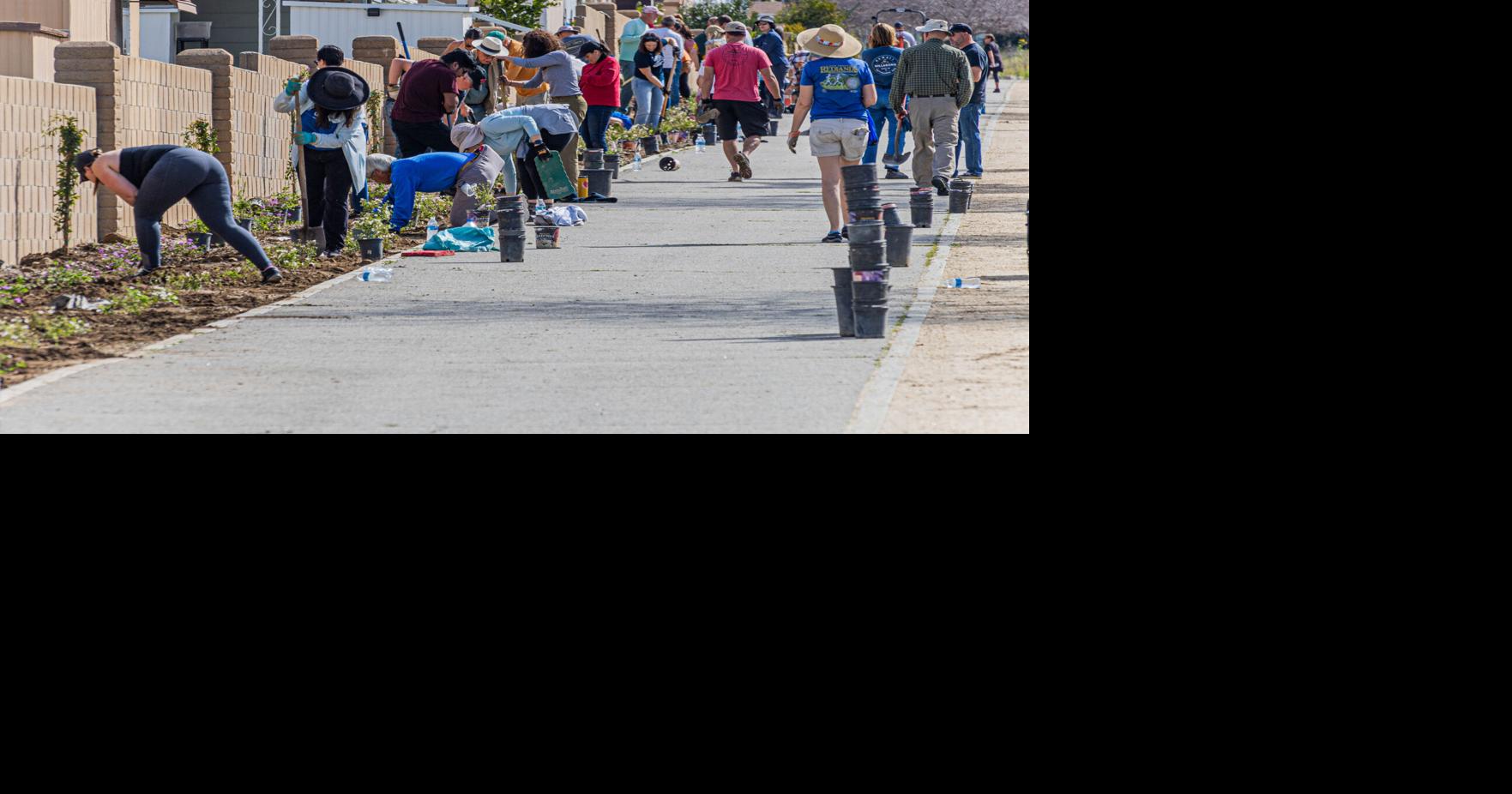 Redlands turns out for Day of Service | Community ...