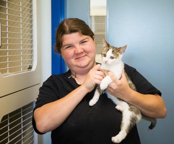 Pitt County Animal Services hosts Caturday Adoption Party | Local News ...