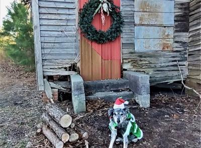 Dec. 23 Community News | Feature Story | reflector.com