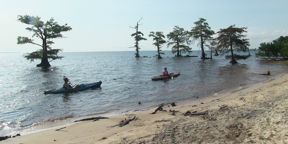 Bertie Beach opens to waves of raves | | reflector.com