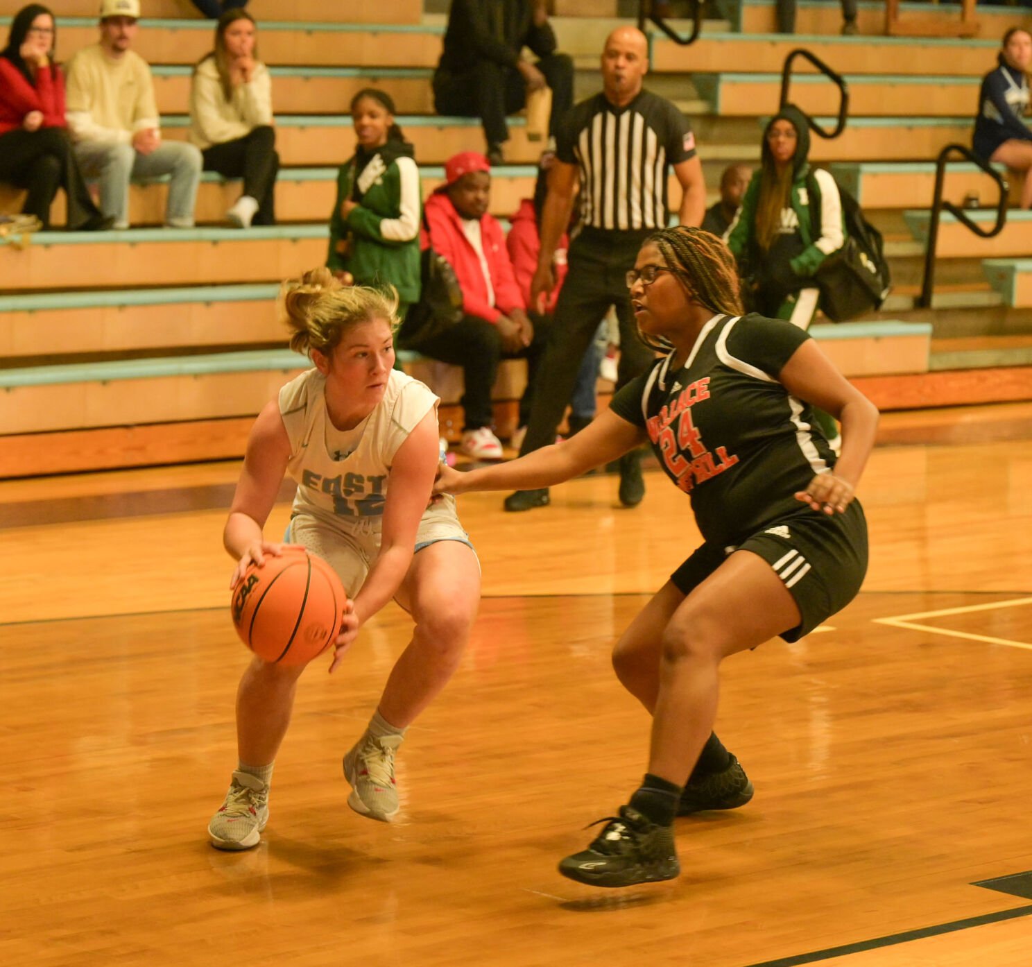 High school girls hoops: Panthers advance to conference tournament ...