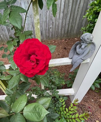 Jan. 23 Community News | Local News | reflector.com