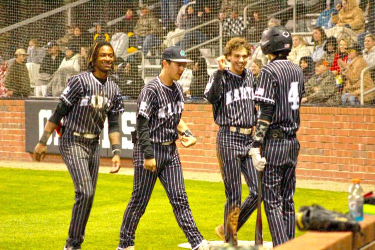 Gators remain unbeaten on baseball diamond | Sports | reflector.com