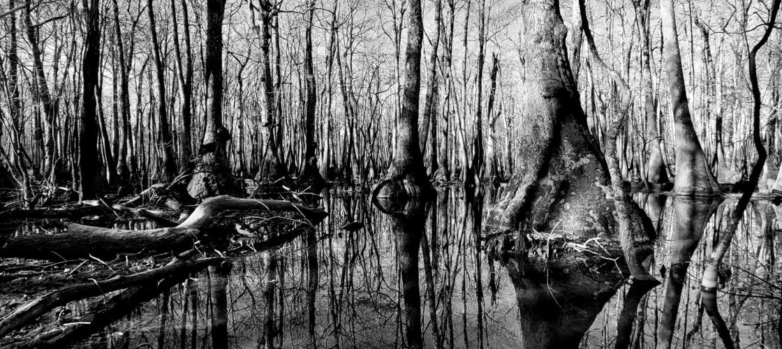 River Park North names photo contest winners | Feature Story ...