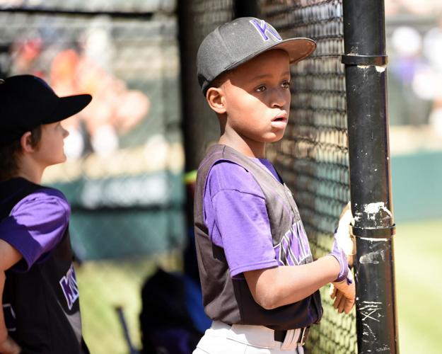 Scene Around Brown Woods vs Kiwanis Greenville Little League Baseball ...
