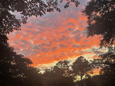 Sept. 26 Community News | Feature Story | reflector.com