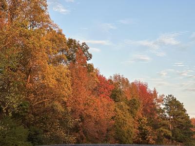 Nov. 16 Community News | Feature Story | reflector.com