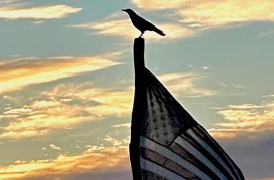 Oct. 28 Community News | Feature Story | reflector.com