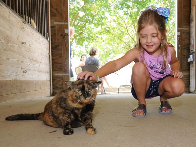 SCENE AROUND: Rocking Horse Ranch Open House | Photo Galleries ...