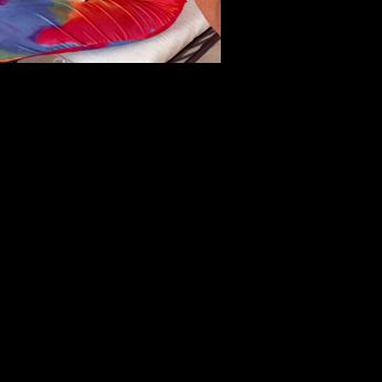 Shaneka Mayo writes romance with a twist | Features | reflector.com