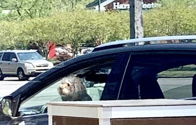 April 15 Community News | Local News | reflector.com