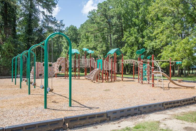 Walk in the Park: West Meadowbrook a haven for disc golfers of all ...