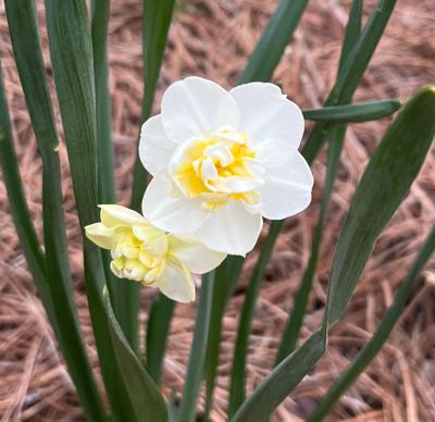 April 9 Community News | Local News | reflector.com