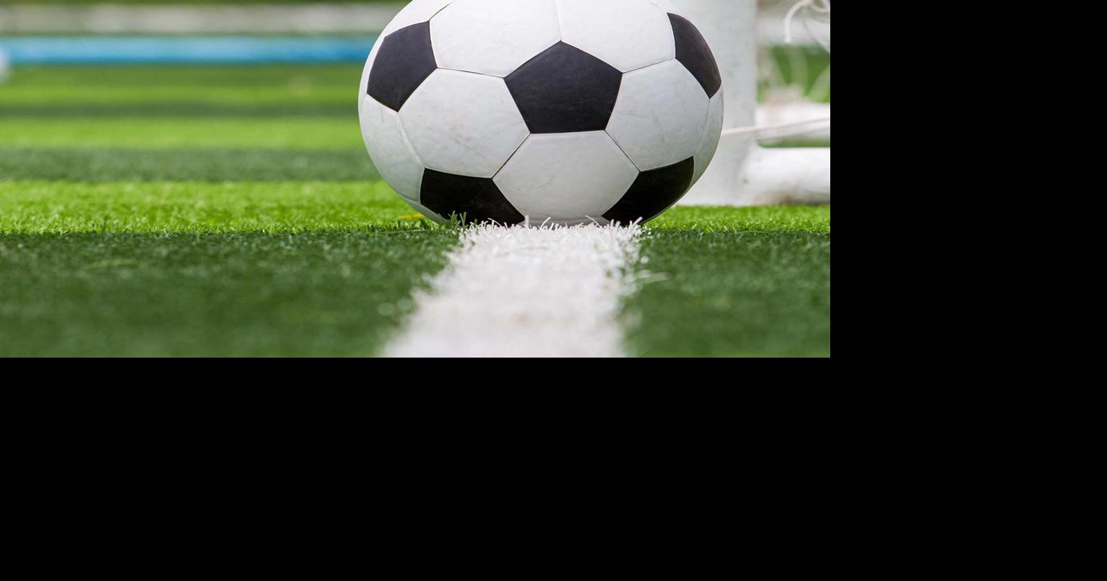 Soccer Opening Day cancelled | Sports | reflector.com