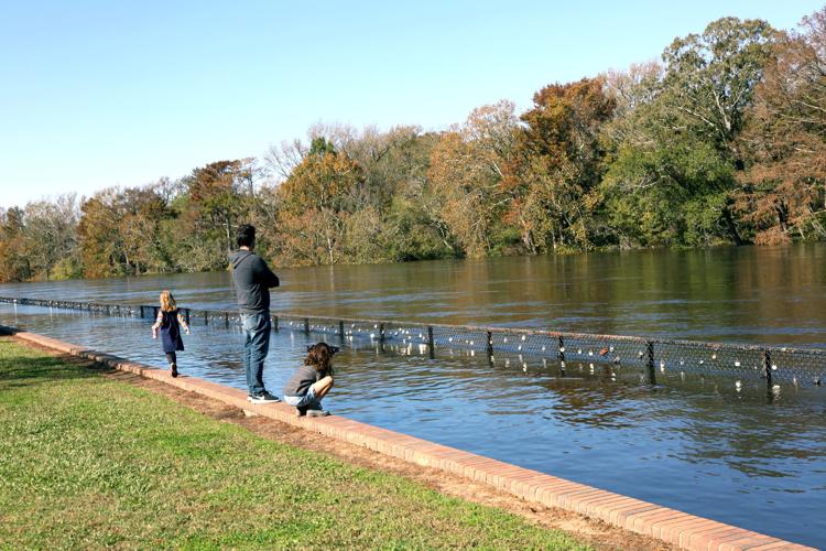 Tar River crests at nearly 20 feet in Greenville after heavy rains last ...