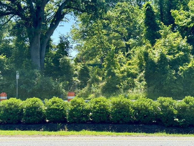 Officials: Greenville footpath will improve safety at Eppes Center ...