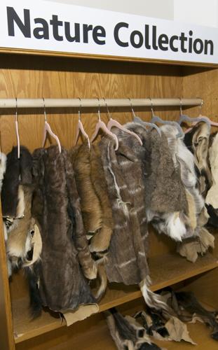 NC Museum of Natural Sciences - A Time for Science | | reflector.com