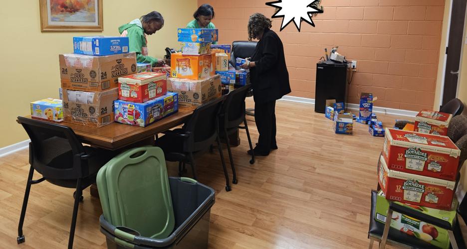 Alpha Kappa Alpha donates food bags to Warsaw Elementary | Features ...