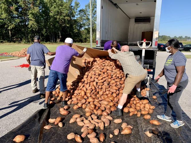 Yam jam: Montessori students package sweet potatoes for food bank ...