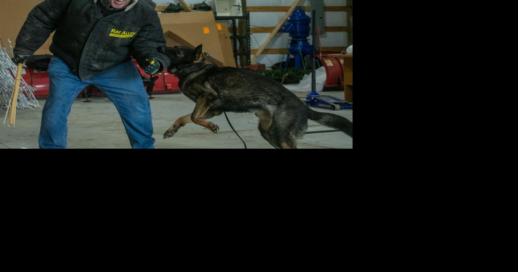 Newland PD K-9 officers receive training with help from mayor | APG ...