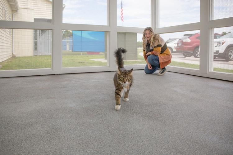 Pitt County unveils new state-of-the-art animal shelter | Local News ...
