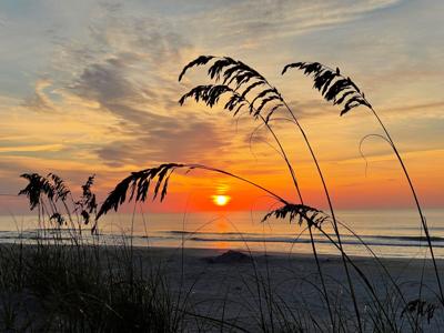 Oct. 8 Community News | Local News | reflector.com