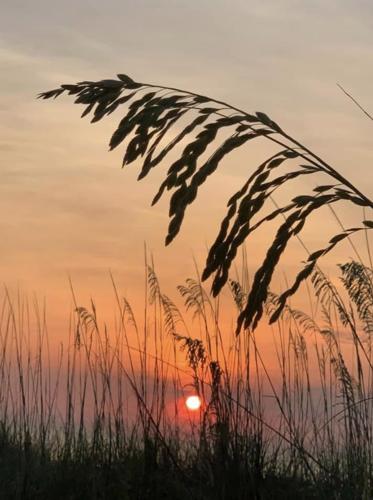 July 5 Community News | Local News | reflector.com