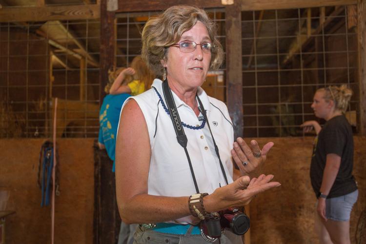 Ranch provides recreation and relaxation | Local News | reflector.com