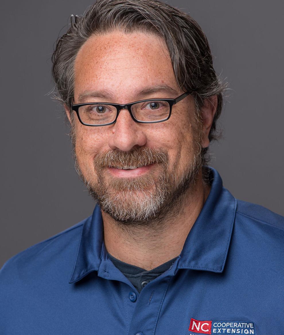 Matthew Stevens: Dazzling sunflowers can be hard to incorporate into a ...