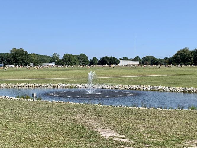 Snow Hill Cemetery beautification continues | News | reflector.com