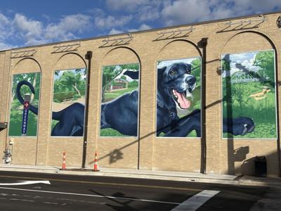Art council dedicating new Five Points mural | Local News | reflector.com