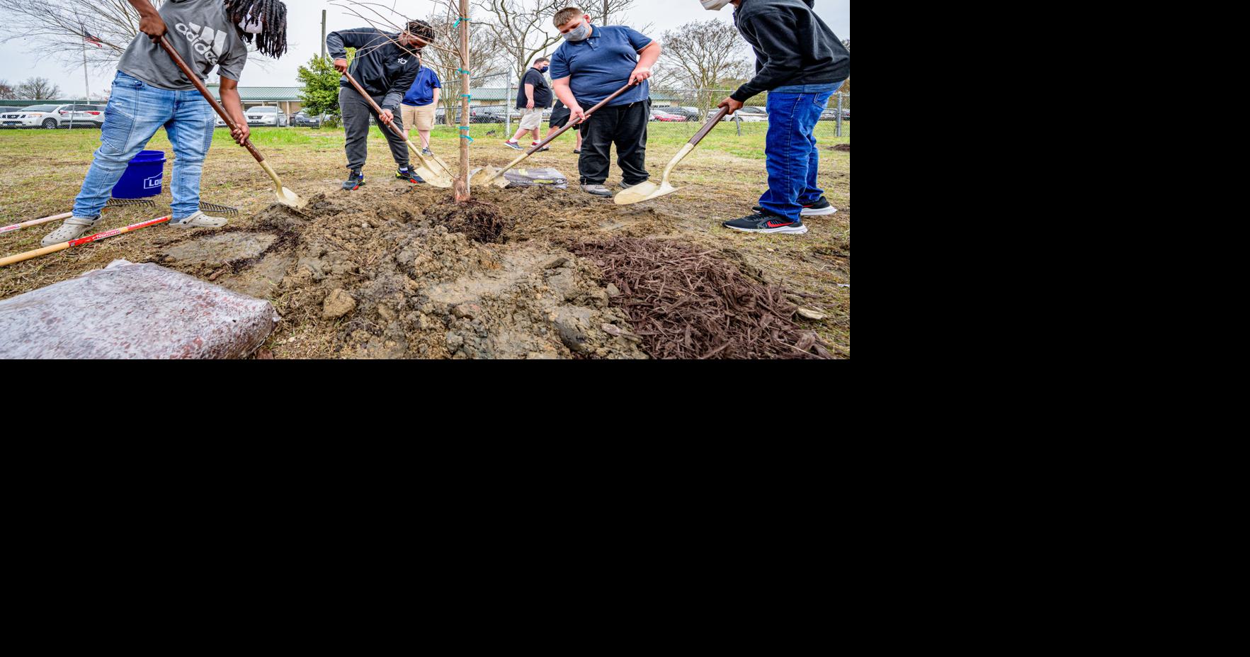 Major intersection coming to life with tree planting | Local News ...