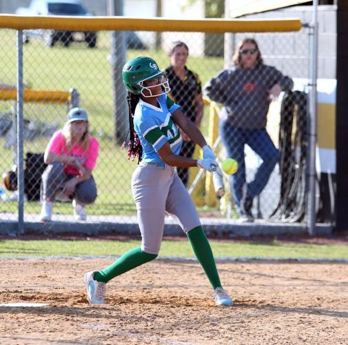 HIGH SCHOOL SOFTBALL: Jaguars, Rampants win tourney games | Local ...