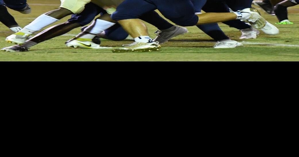 Panthers demolish Vikings for 20th straight victory | | reflector.com