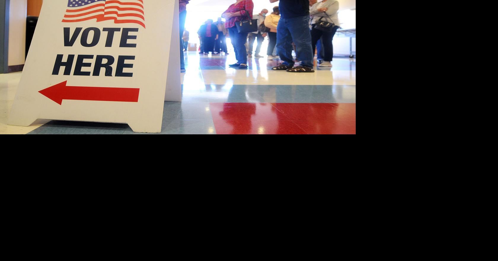 Voting off to busy start: Elections director says process safe and fair ...