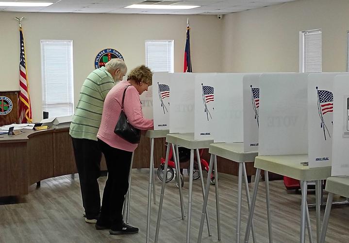 Election officials say early voting off to a good start | Local News ...