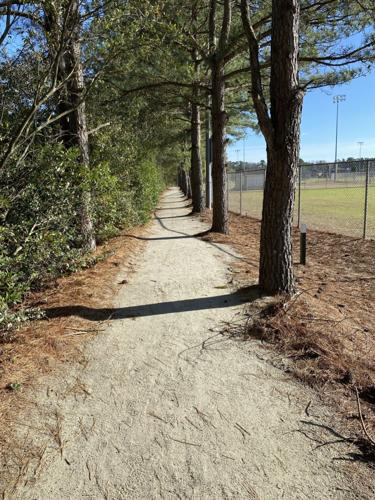 Nashville pursuing big upgrades to Glover Park | | reflector.com