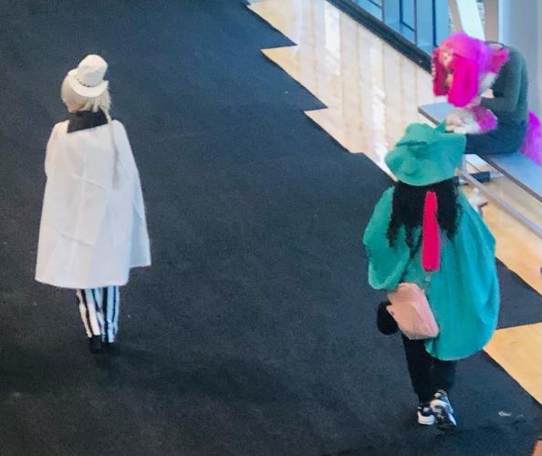 Boone Comic-Con 2024 draws big crowd at Watauga Recreation Center | APG ...