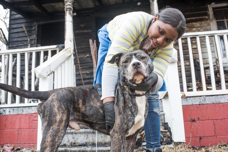 Dog saves Ayden family from early morning fire | Crime | reflector.com
