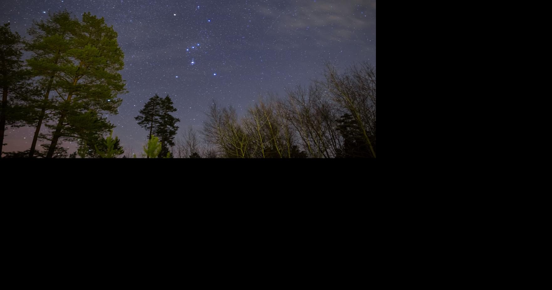 Joy Moses-Hall: What once was old is new again | Feature Columnist | reflector.com