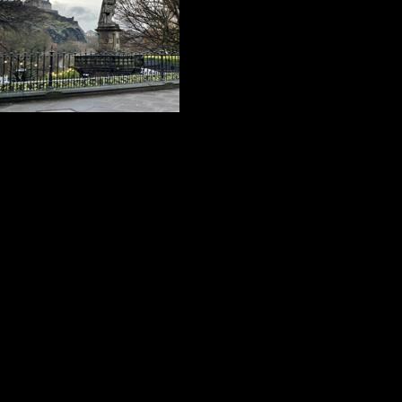 Joy Moses-Hall: Scotch Taping and Hop-Scotching a Continent | | reflector.com