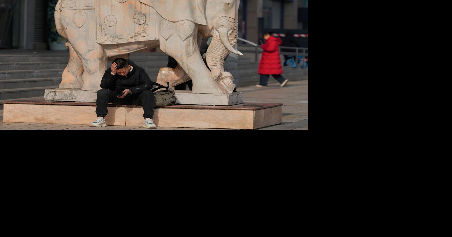 Aimed at the growing number of young Chinese who live alone, a new app ...